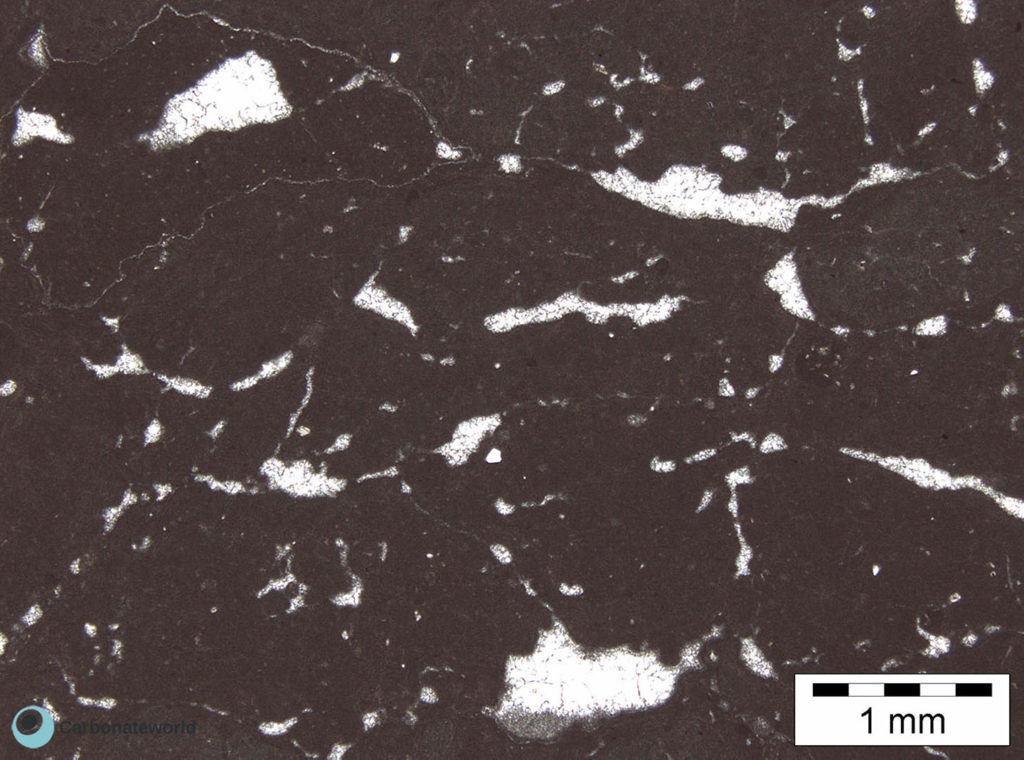 Exercise 2 - Carbonateworld