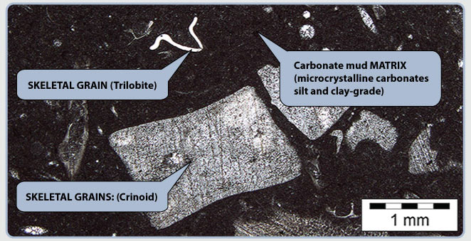 Components - Carbonateworld