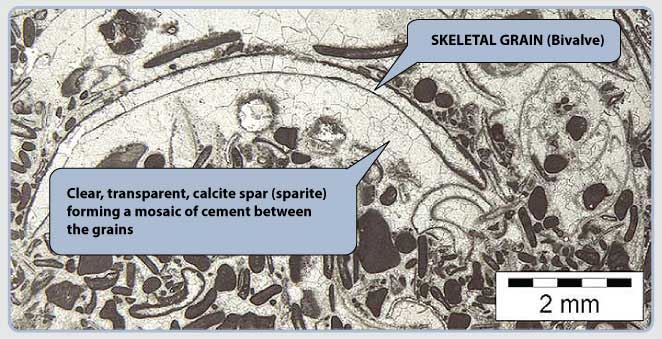 Components - Carbonateworld