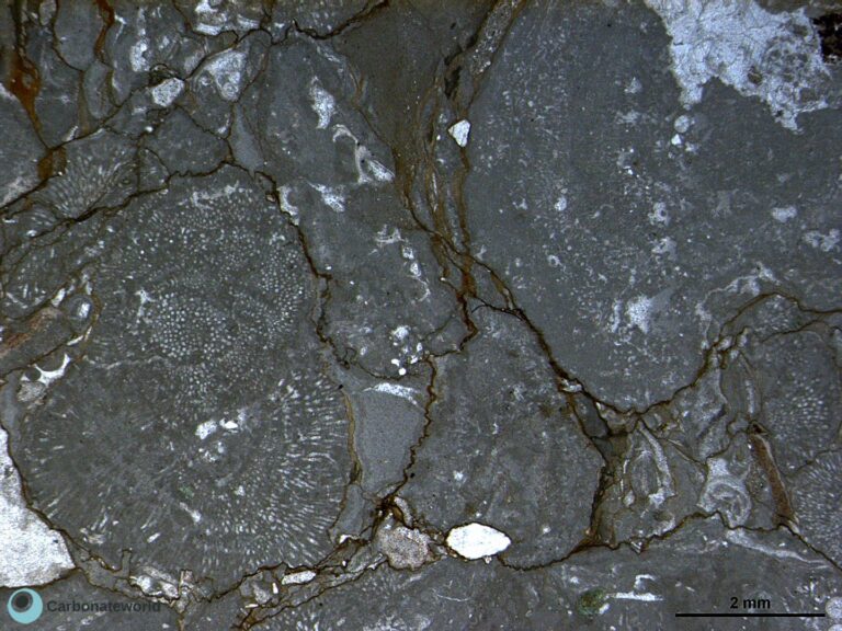 Exercise 3 - Carbonateworld