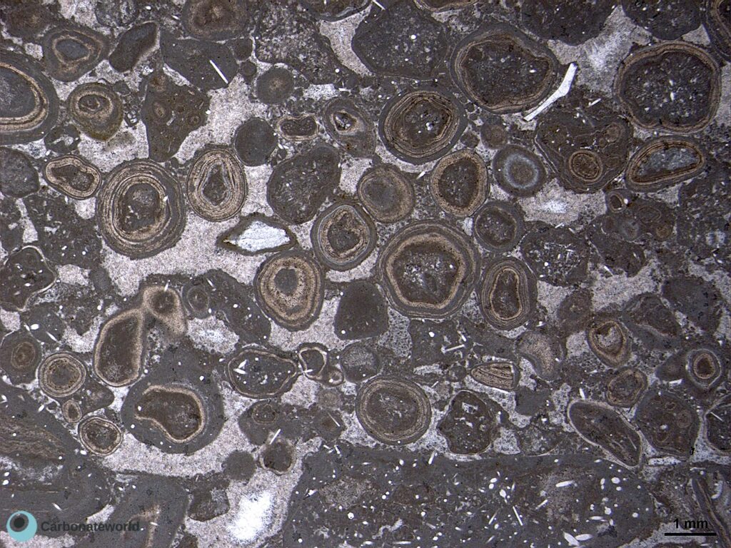 Exercise 5 - Carbonateworld