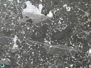 Exercise 10 - Carbonateworld