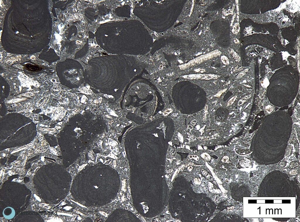 Exercise 2 - Carbonateworld