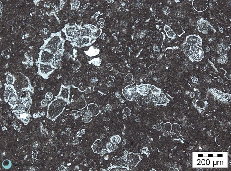 Exercise 1 - Carbonateworld