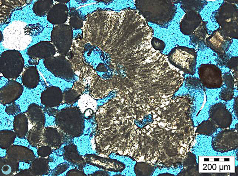 Exercise 8 - Carbonateworld